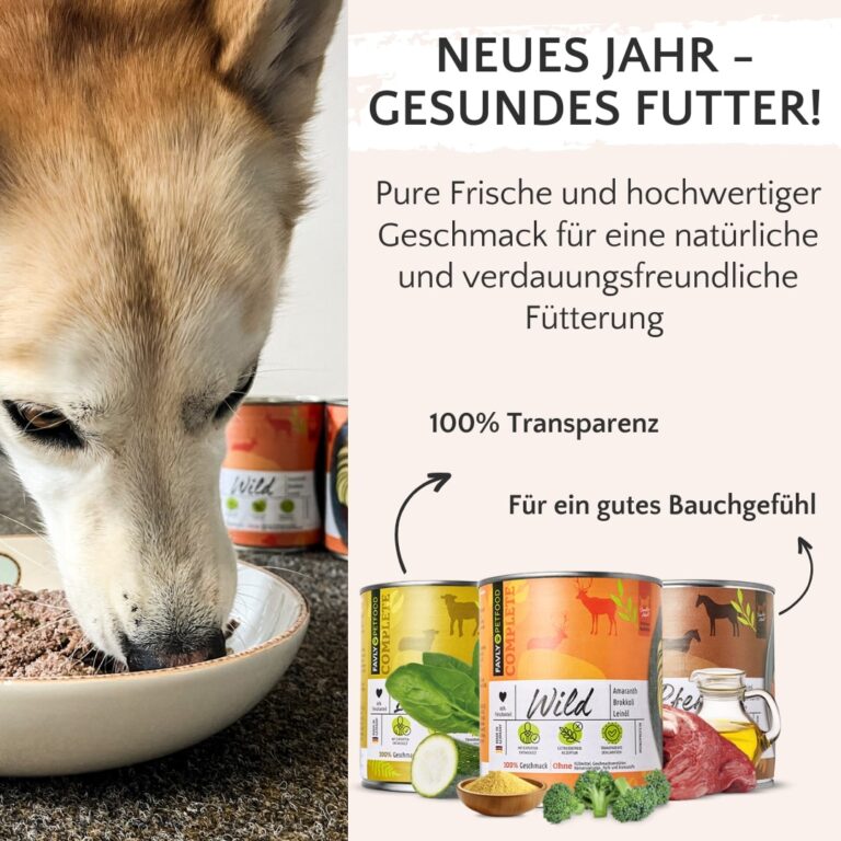 Gelenkgesundheit deines Hundes So bleibt dein Tier fit! 🐶